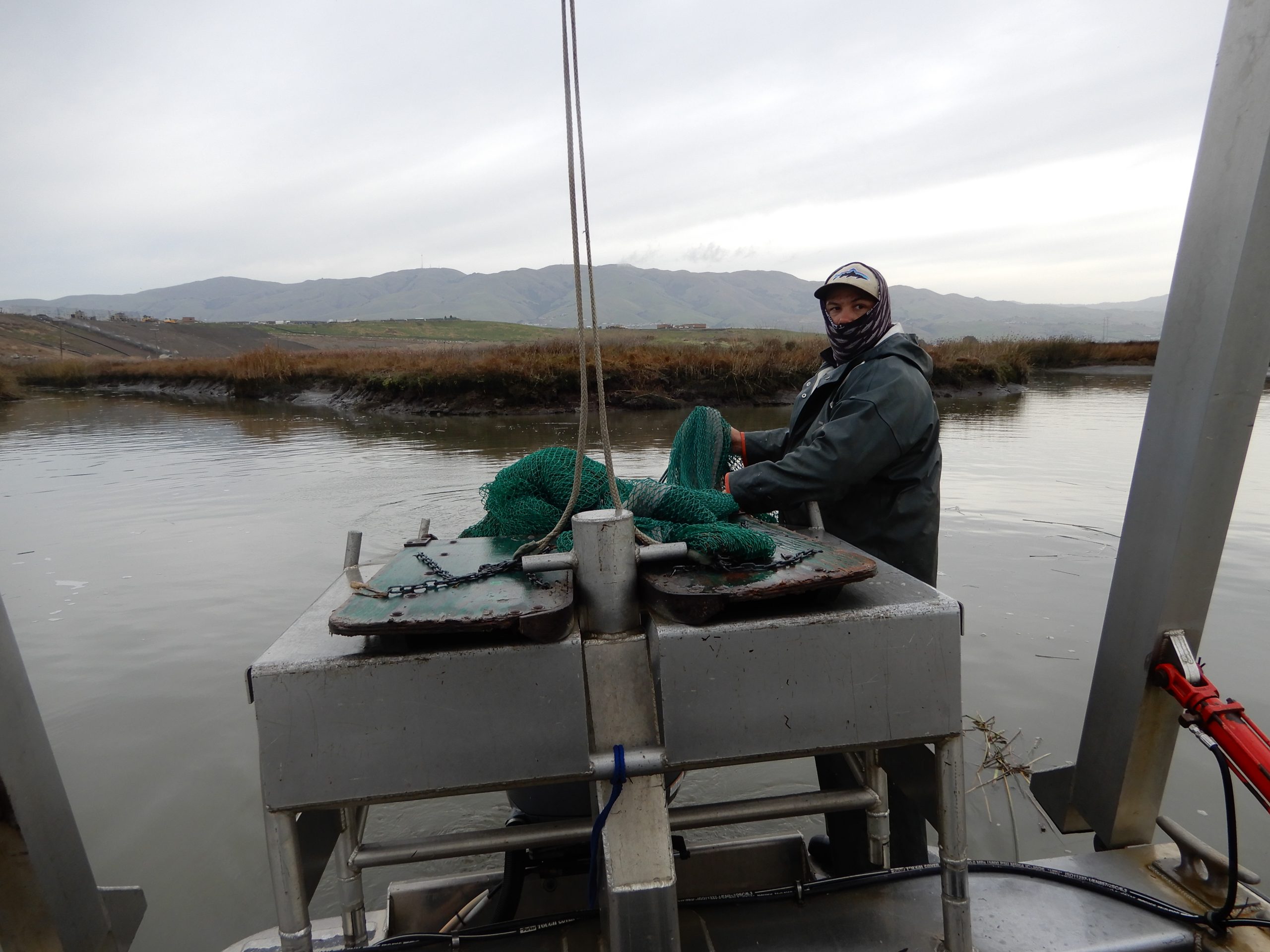 2020-01-12a (147) – Otolith Geochemistry & Fish Ecology Laboratory